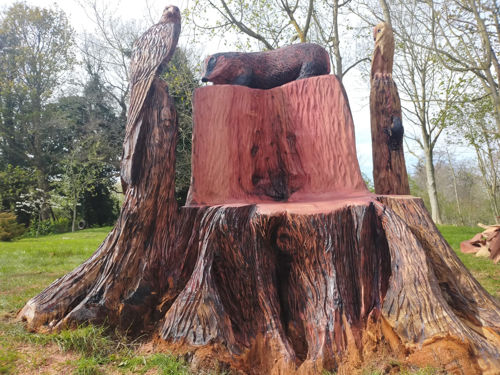 Red Wood tree stump in Ufford, Suffolk | Road Side Carver